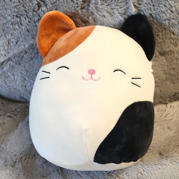 Squishmallows | Toys | Squishmallow Cam The Calico Cat | Poshmark